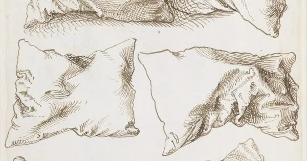 Albrecht Durer, Study Of A Hand And A Pillow Recto | Arthipo