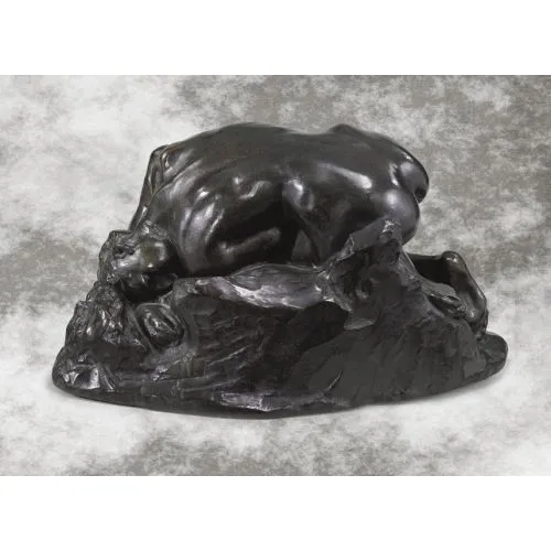 Auguste Rodin, Danaid | Arthipo