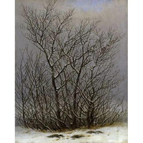 Caspar David Friedrich, Trees And Bushes In The Snow | Arthipo