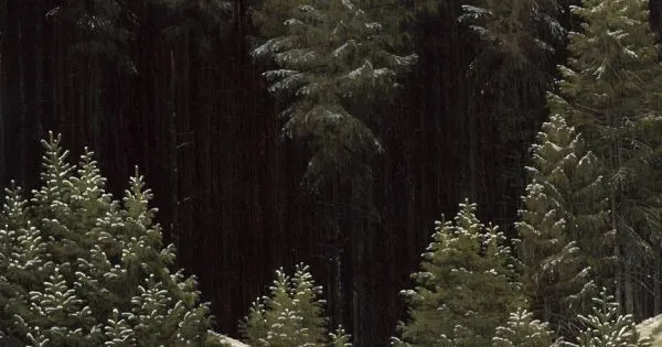 Caspar David Friedrich, Early Snow | Arthipo