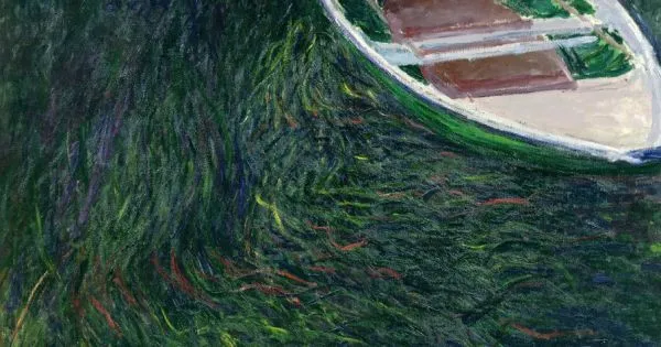 Claude Monet, The Row Boat | Arthipo