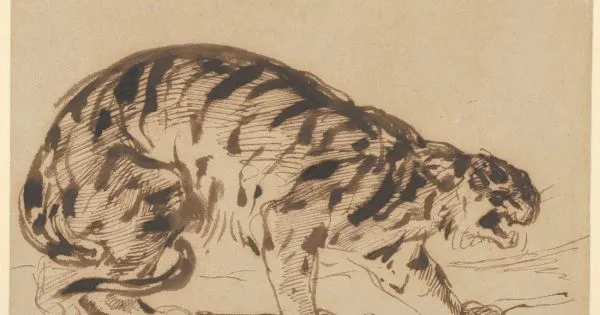 Eugène Delacroix, Crouching Tiger | Arthipo
