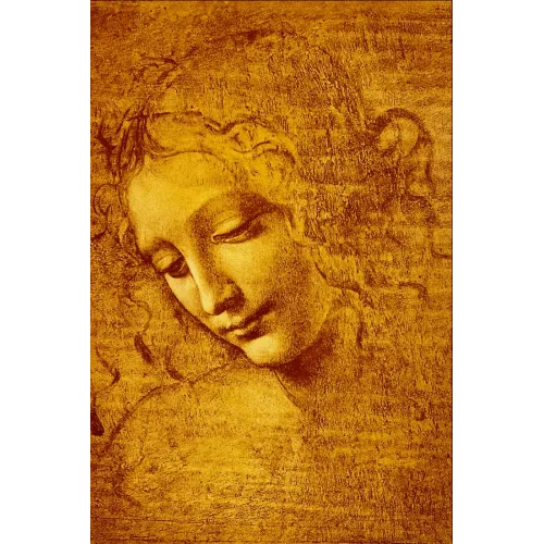 Head Of A Woman, Leonardo Da Vinci | Arthipo