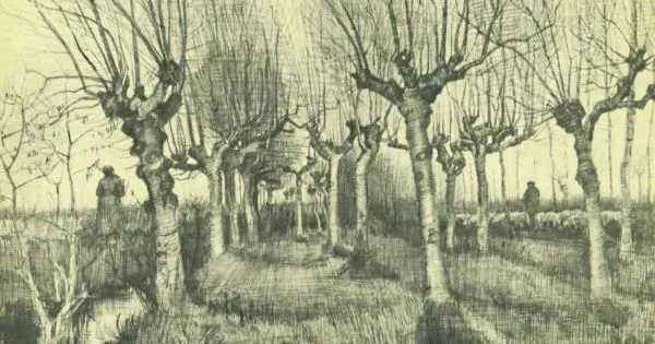 Vincent Van Gogh, Pollard Birches | Arthipo