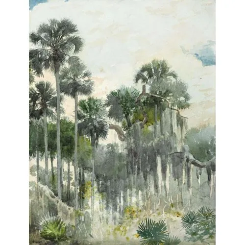 Florida Jungle, Winslow Homer | Arthipo