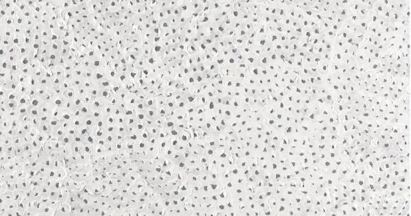Yayoi Kusama, White And Grey Infinity Nets 8 | Arthipo