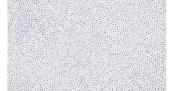 Yayoi Kusama, White And Grey Infinity Nets 6 | Arthipo