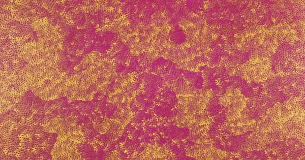 Yayoi Kusama, Red Infinity Nets 16 | Arthipo