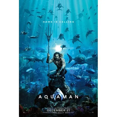 Jason Momoa Poster | Arthipo