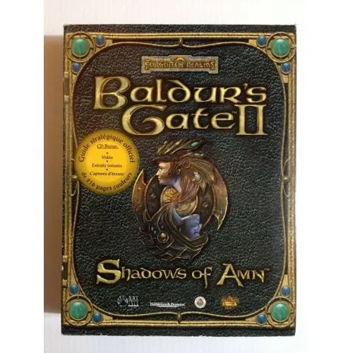 Baldurs Gate 2 Game Poster | Arthipo