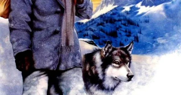 Jack London White Fang Movie Poster 2 | Arthipo