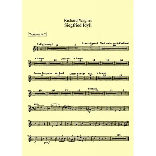 Richard Wagner Siegfried Idyll Poster | Arthipo