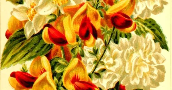 White Flowers Poster 2 Poster | Arthipo