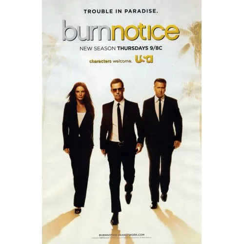 Burn Notice Poster | Arthipo