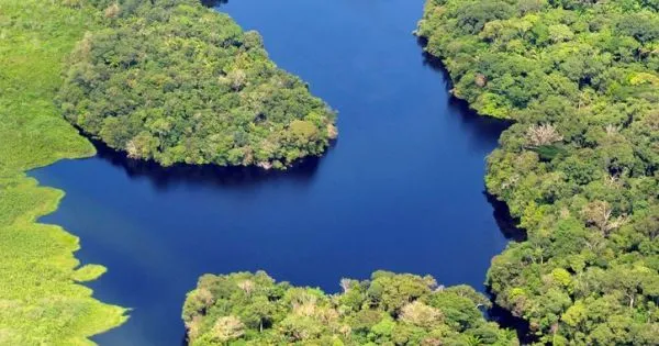 Amazon River Poster | Arthipo