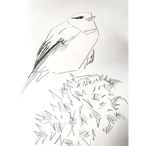 Bird-1, Venus Ezgi Kurtoglu | Arthipo